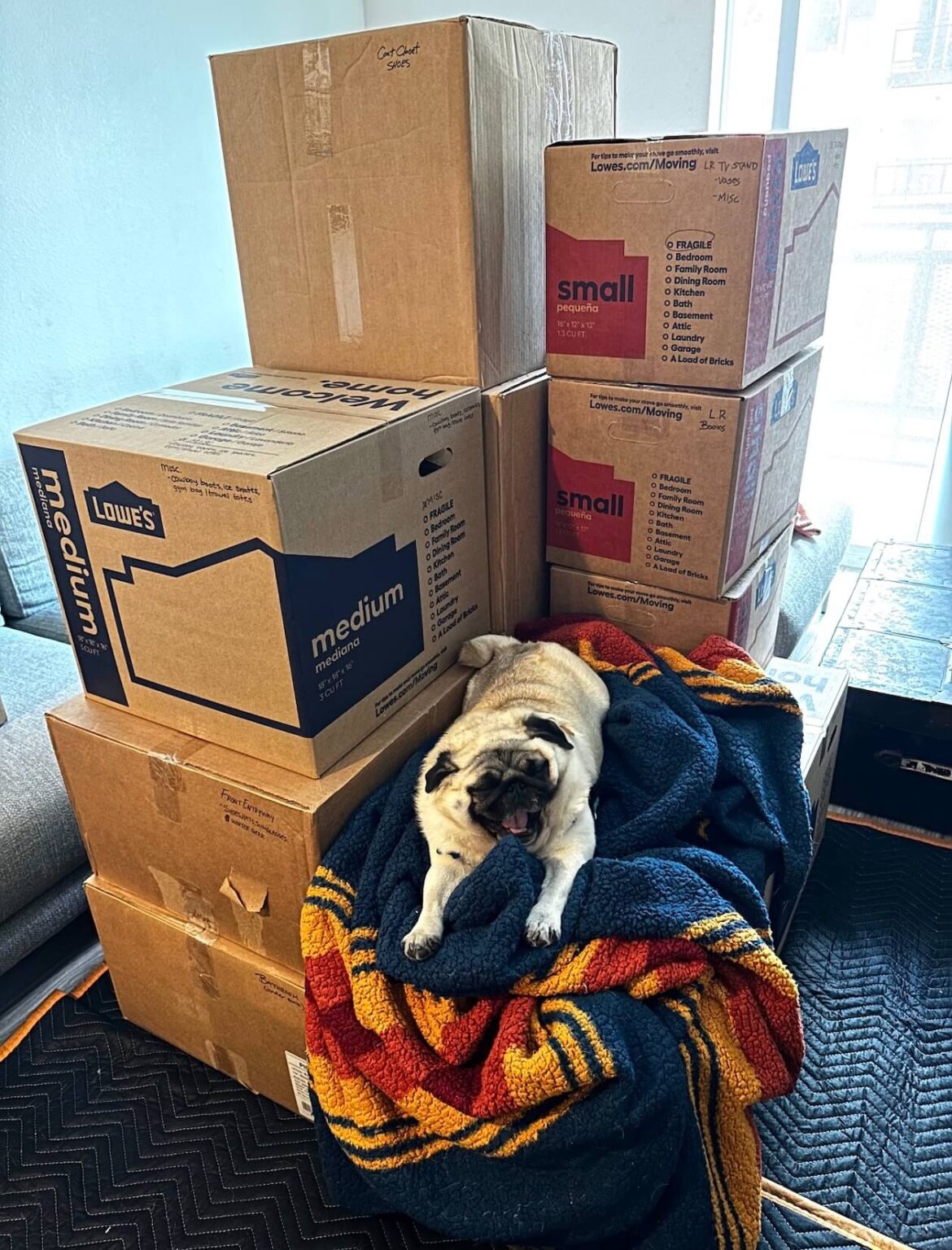 Unpacking and Organizing Services | Clutterless Home Solutions